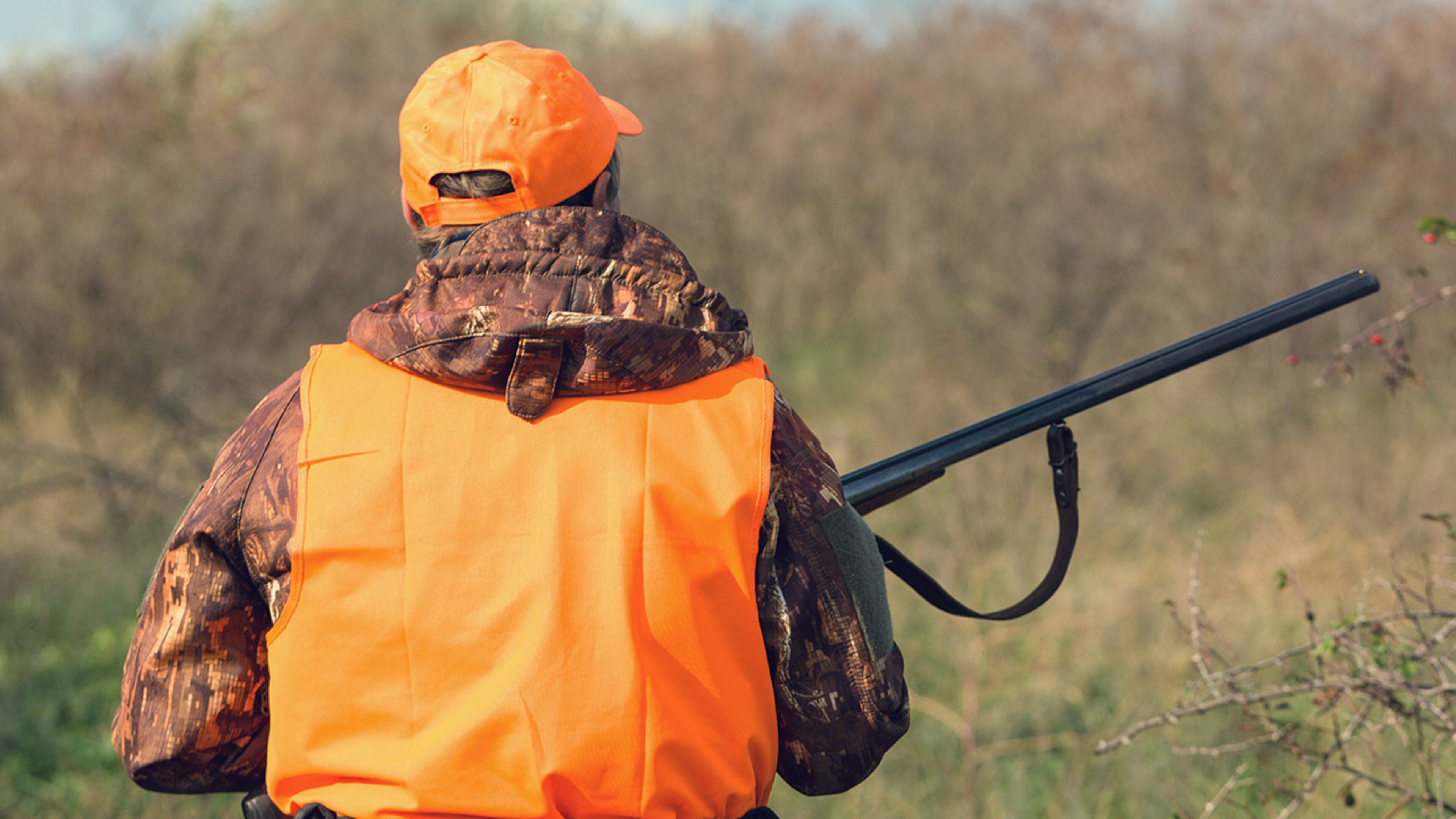 Larger Price Limits for Cattle Futures Contracts: Should We Pay ...